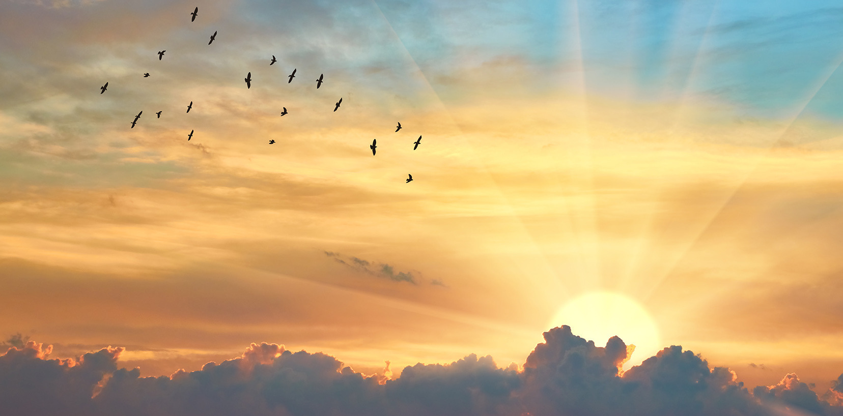 Shining Some Light on the Sunset